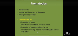 Chapter 4 - Module 5 - Process-Oriented Performance-Based Assessment ...