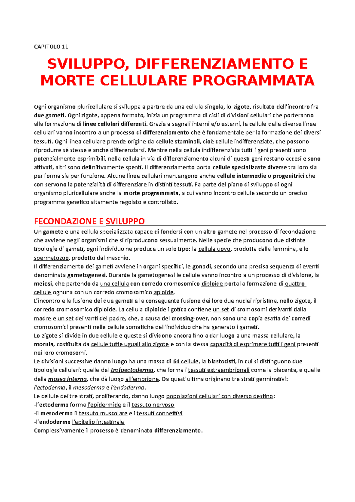 Sviluppo, diffrenziamento e morte programmata - CAPITOLO 11 SVILUPPO, DIFFERENZIAMENTO E MORTE ...