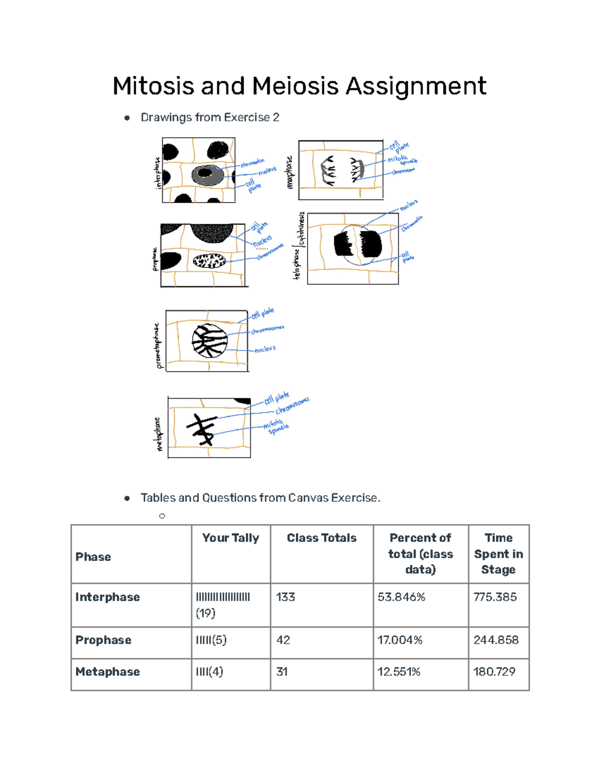 Mitosis and Meisos Assignment - Mitosis and Meiosis Assignment Drawings ...