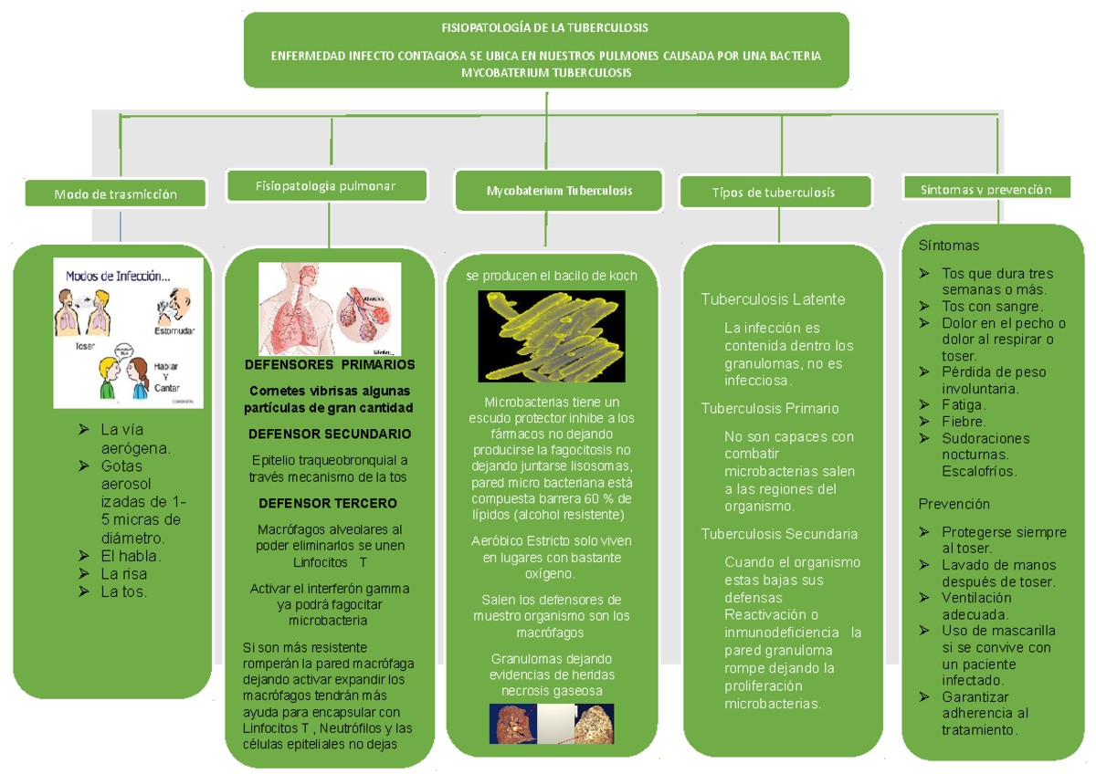 Esquema fisiopatologia de tuberculosis - Fundamentos de Enfermería ...