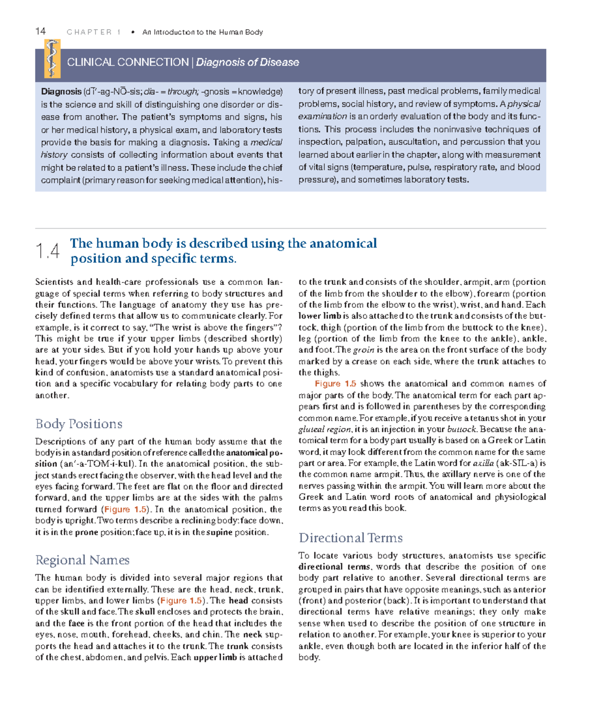 Anatomyandphy-22 - N/A - 14 C H A P T E R 1 • An Introduction to the ...