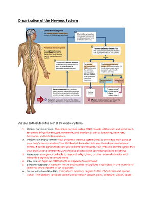 Lab 2 Endocrine Anatomy Review - Lab 3: Endocrine Anatomy Review Part 1 ...