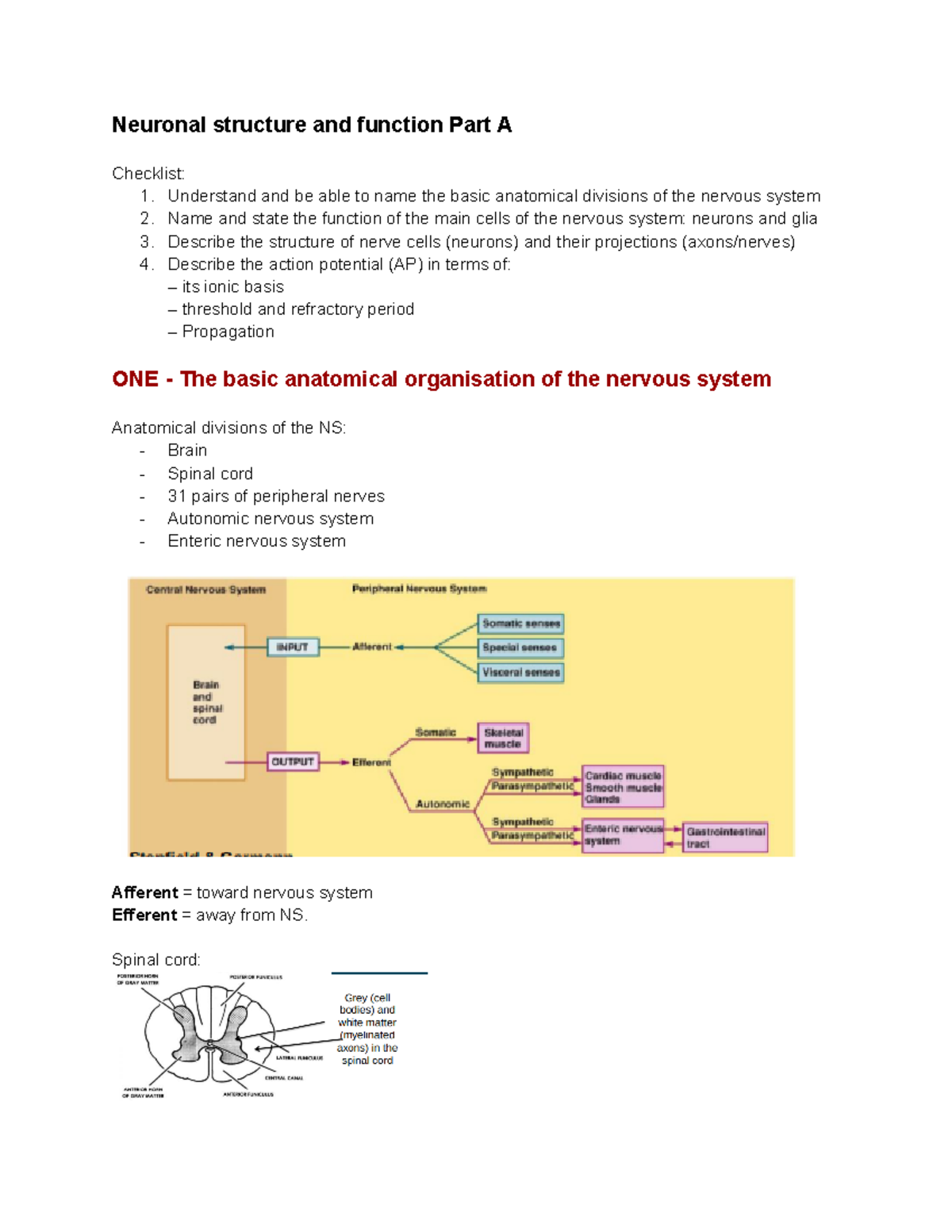 Neuronal structure and function Part A - Neuronal structure and function Part A Checklist: 1 ...