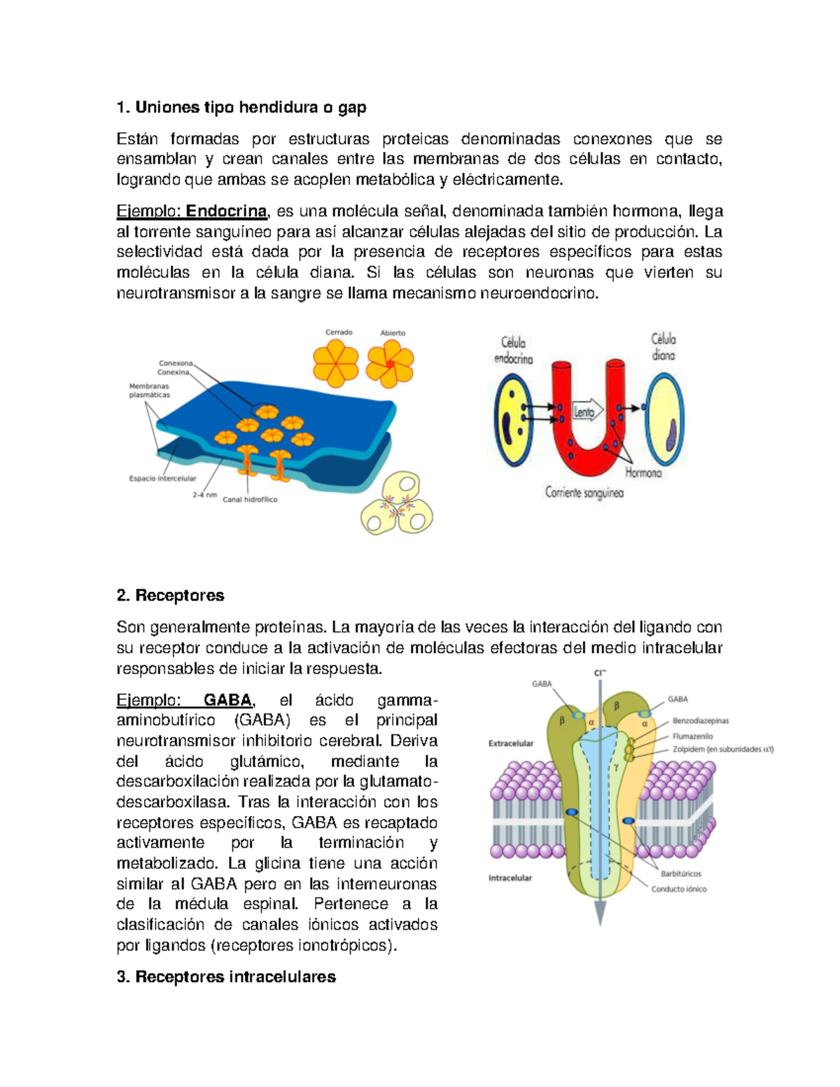 Receptores Ejemplos - Uniones tipo hendidura o gap Están formadas por ...