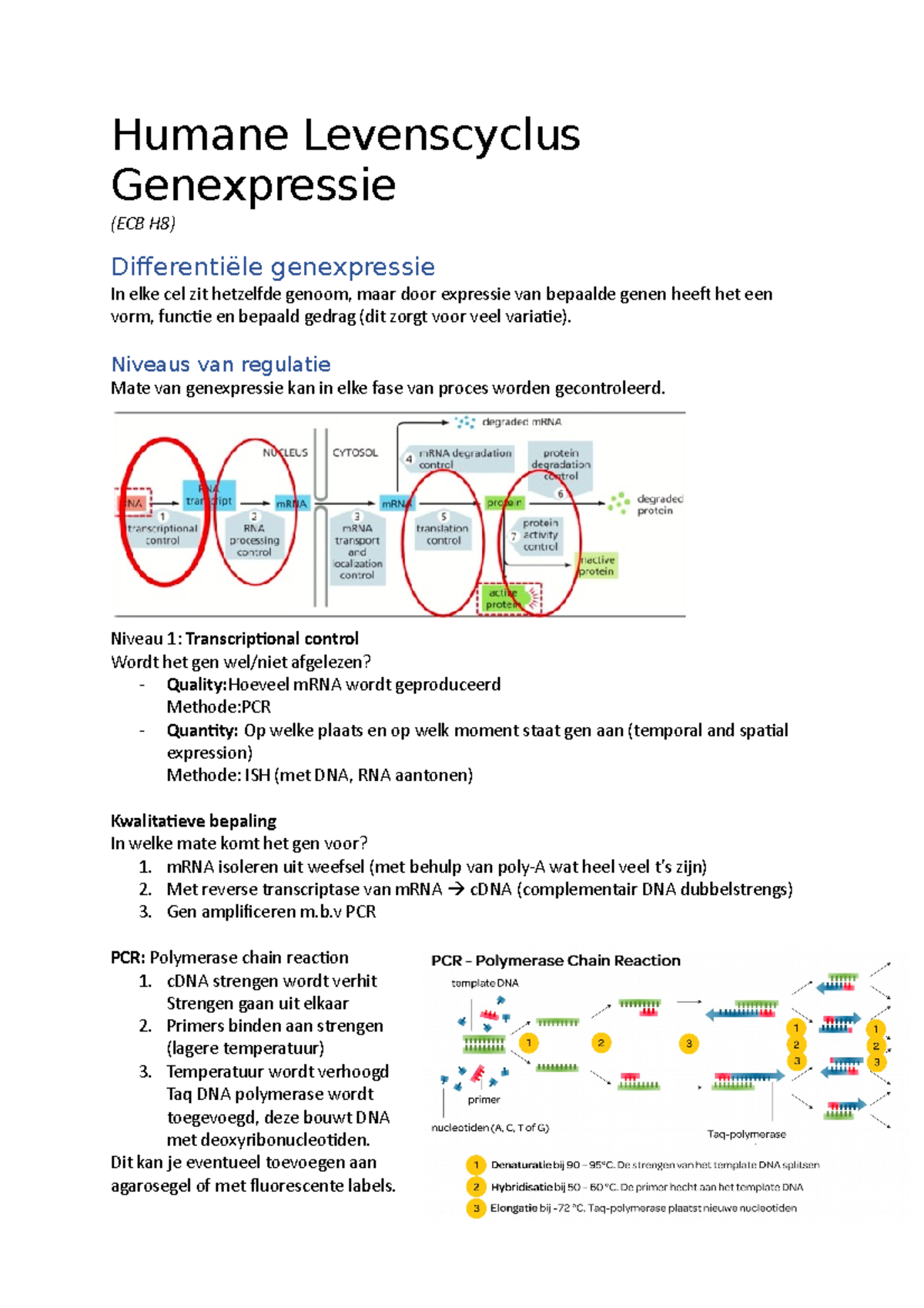 Humane levenscyclus HC 5 - Humane Levenscyclus Genexpressie (ECB H8 ...