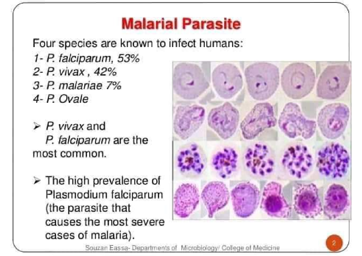 Malaria - lecture notes - Bsc MLT - Studocu