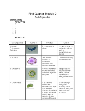 General Biology Phases of the Cell Cycle and Their Control Points ...