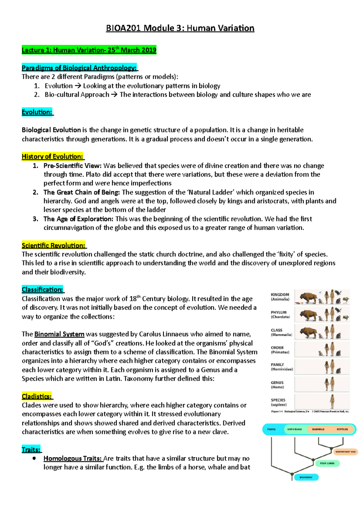 BIOA201 Module 3 - Lecture notes 8-11 - BIOA201 Module 3: Human ...