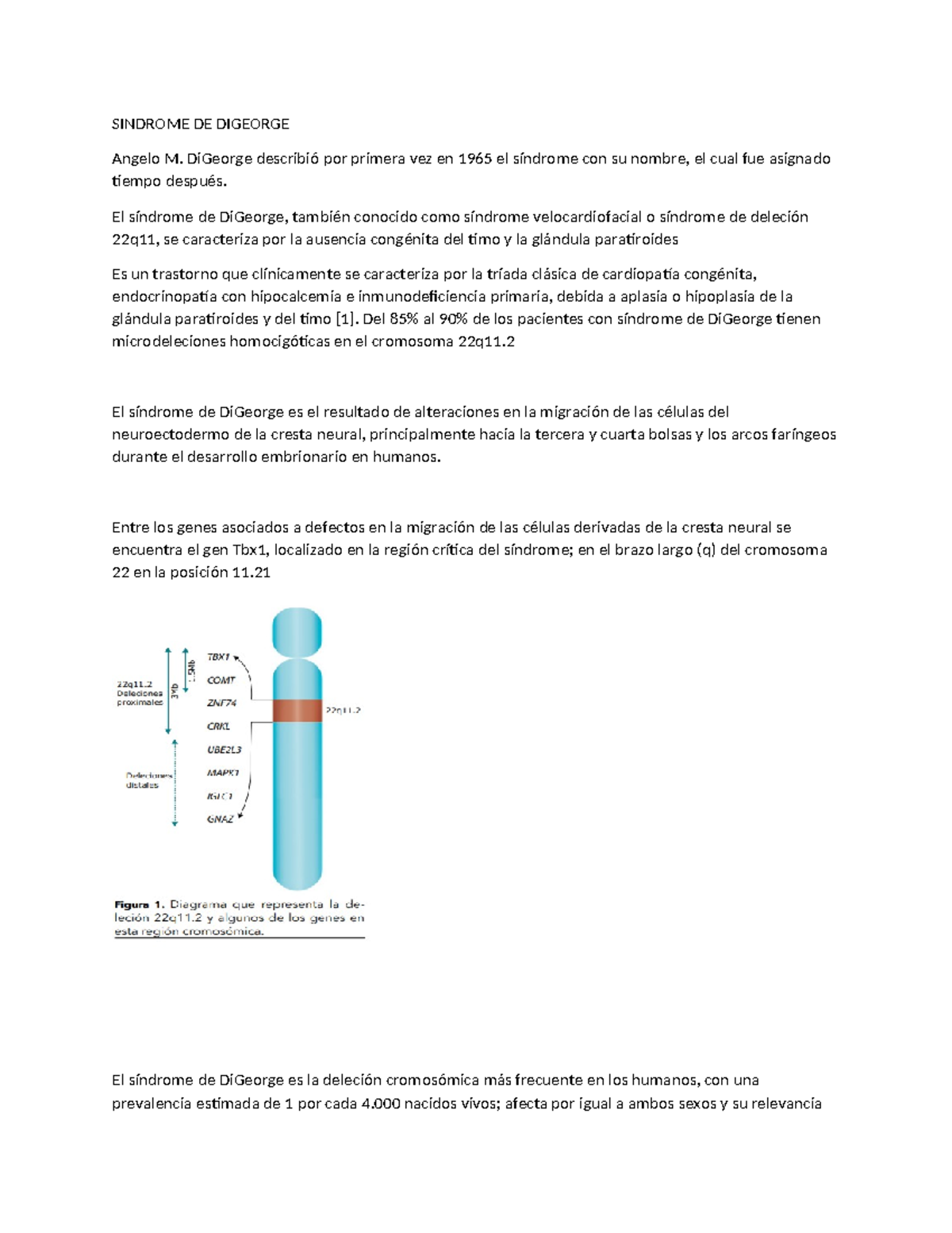 Sindrome DE Digeorge - SINDROME DE DIGEORGE Angelo M. DiGeorge ...