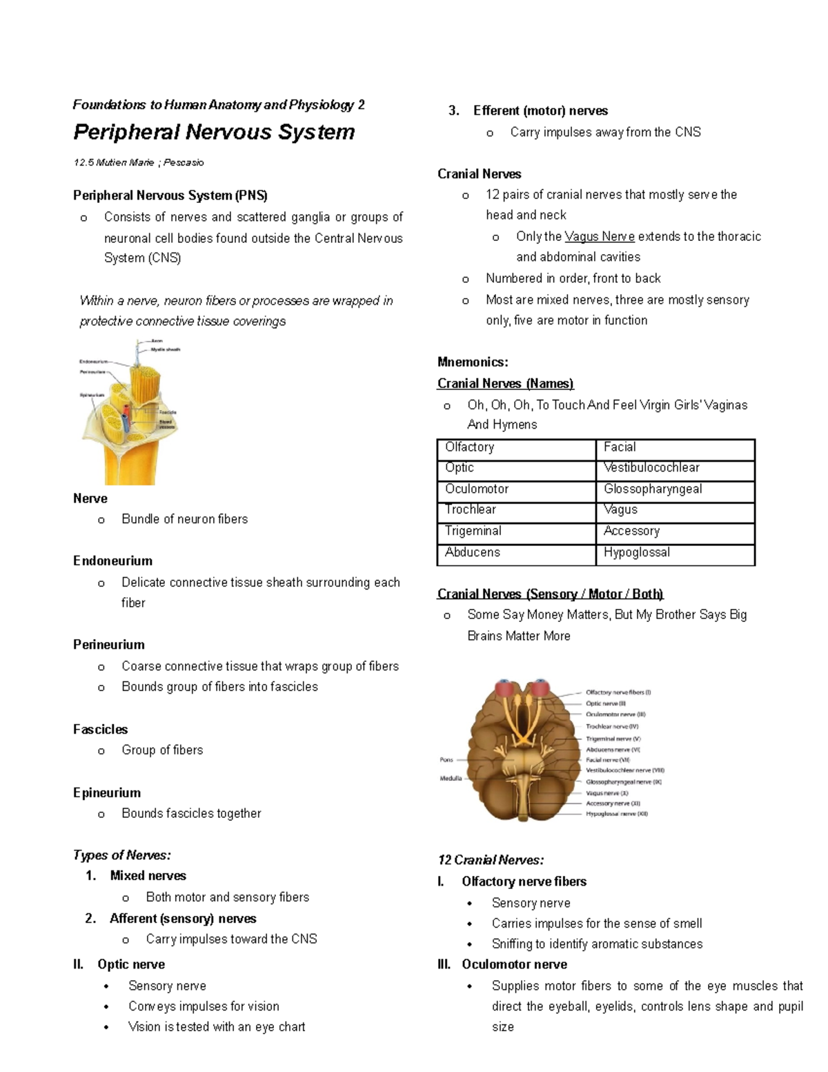 Anatomy and Physiology of the nervous system - Foundations to Human ...