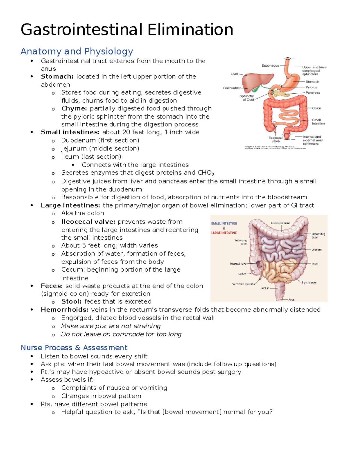 Gastrointestinal Elimination Notes - Gastrointestinal Elimination ...