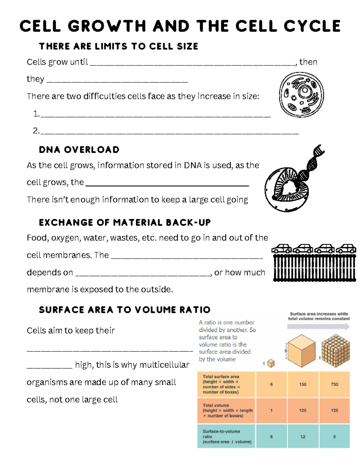 2.. Cell Cycle Notes Guide - Cell Growth and the Cell Cycle There are ...