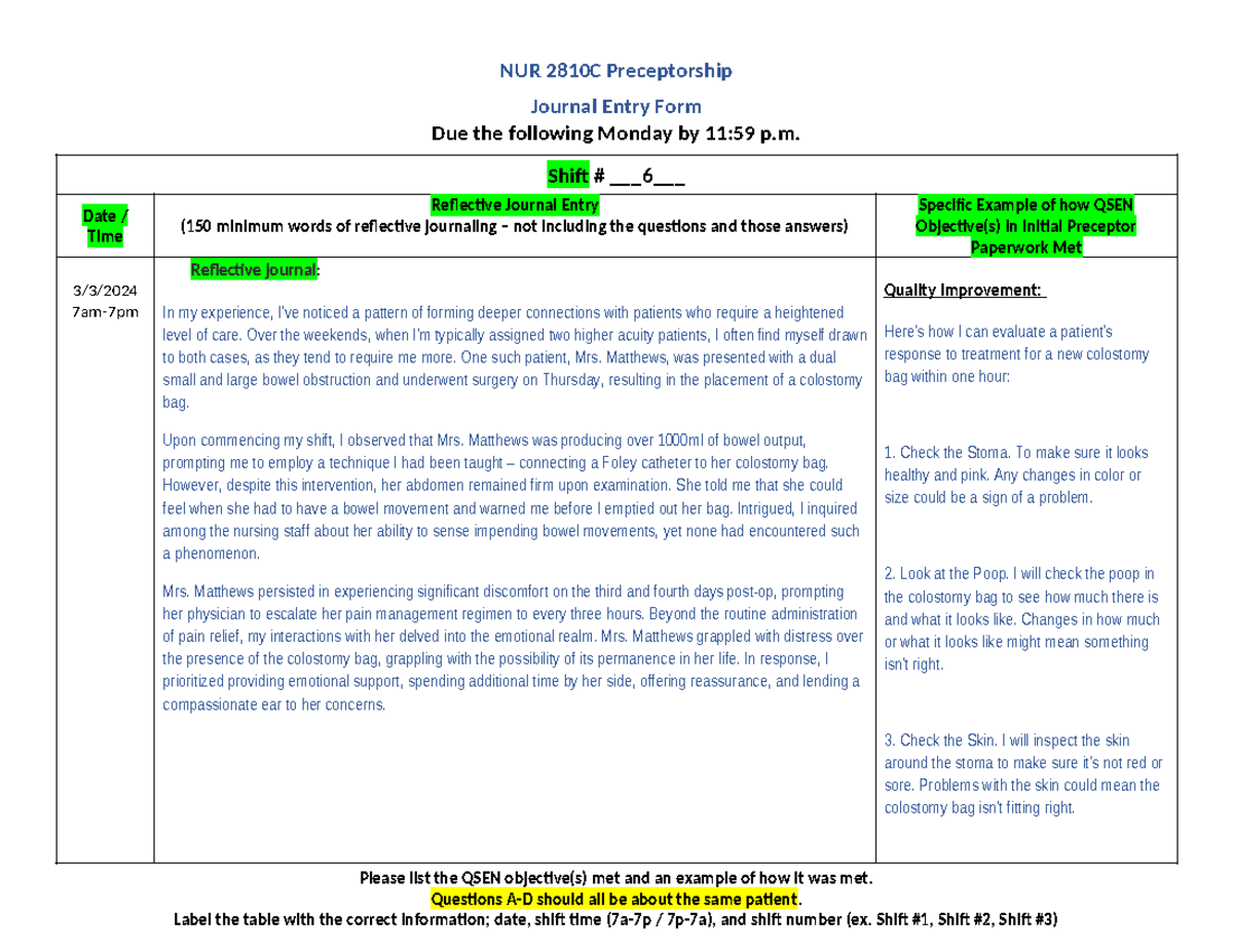 (6) Clinical Judgement Journal Entry Form - NUR 2810C Preceptorship ...