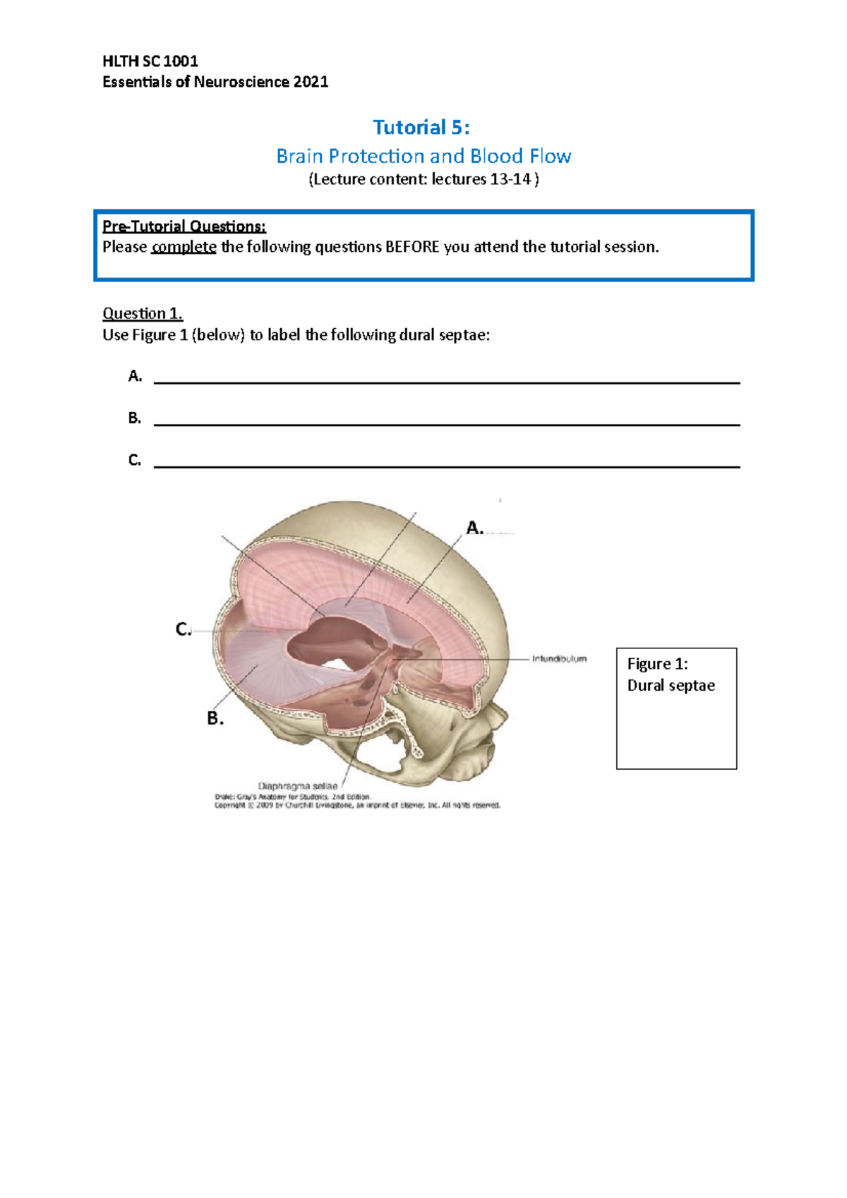EON 2021-T5-Brain protection and blood flow tutorial - 1001 - Adelaide ...