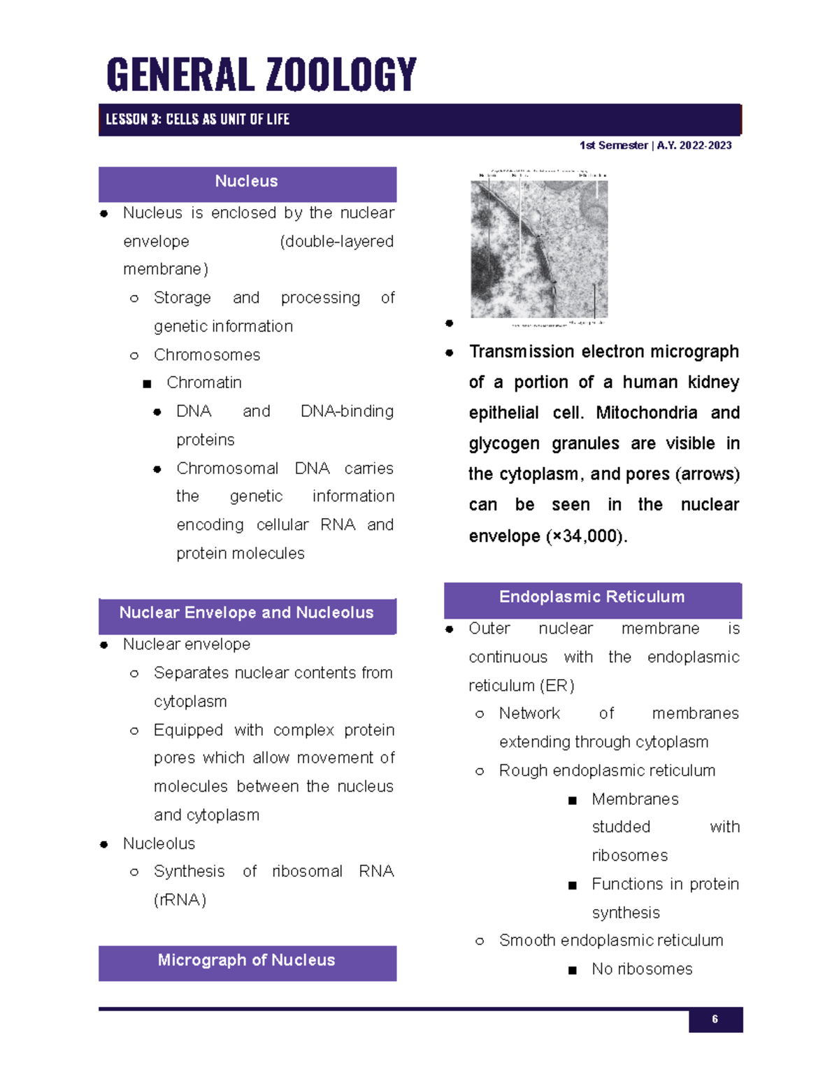 General Zoology 3 - Gen Zoo - GENERAL ZOOLOGY LESSON 3: CELLS AS UNIT ...