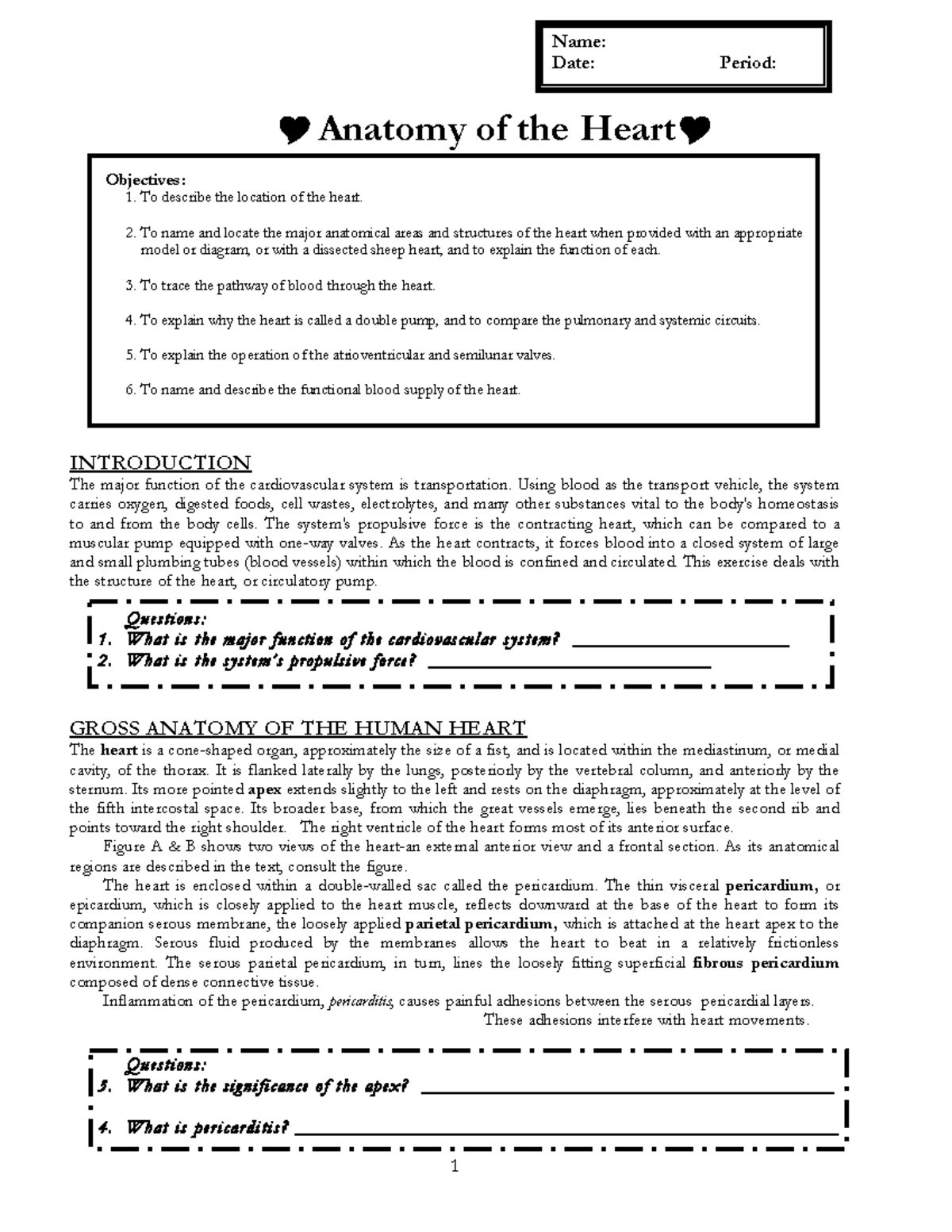 Anatomy of Heart - Anatomy of the Heart Objectives: 1. To describe the ...