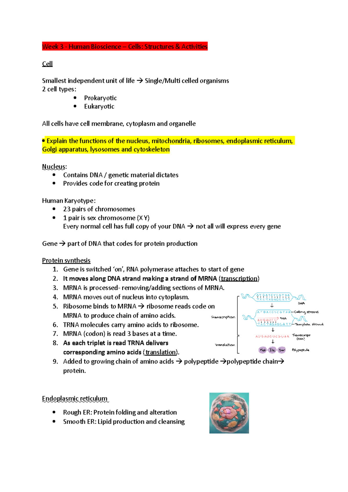 Week 3 - Human Bioscience For Nursing And Midwifery - Week 3 - Human ...