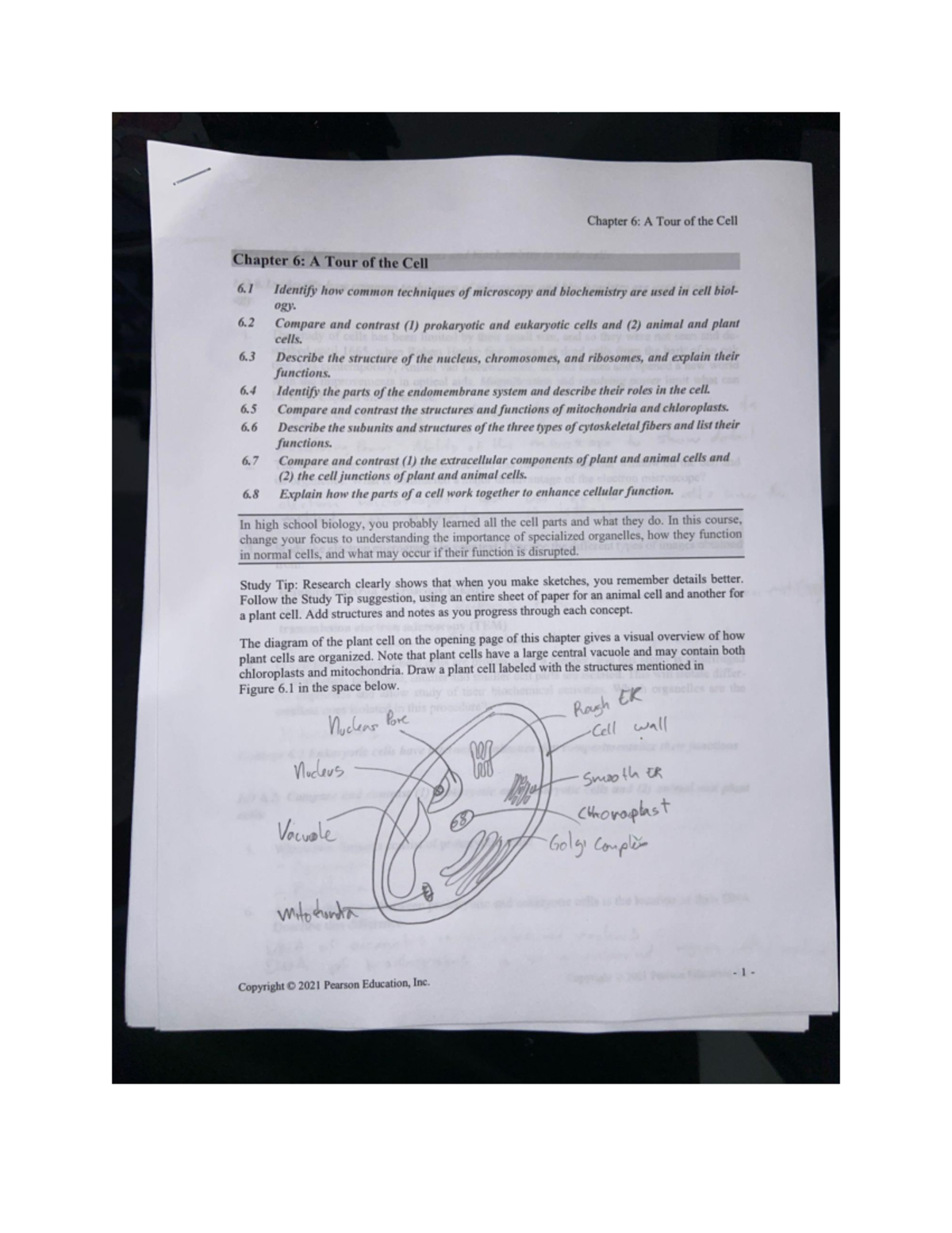 Bio 6 - biology 6 - Biología molecular - Studocu