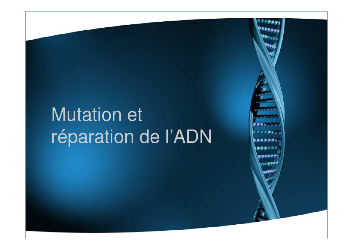 Cours 1bis genetique mutation de l ADN - Mutation et réparation de l ...