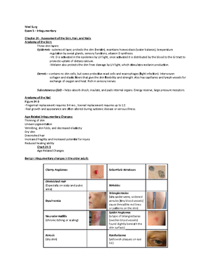 Med-Surg Study Guide Chapter 8, 19,20,36,37 - Med-Surg Exam 2 Review ...