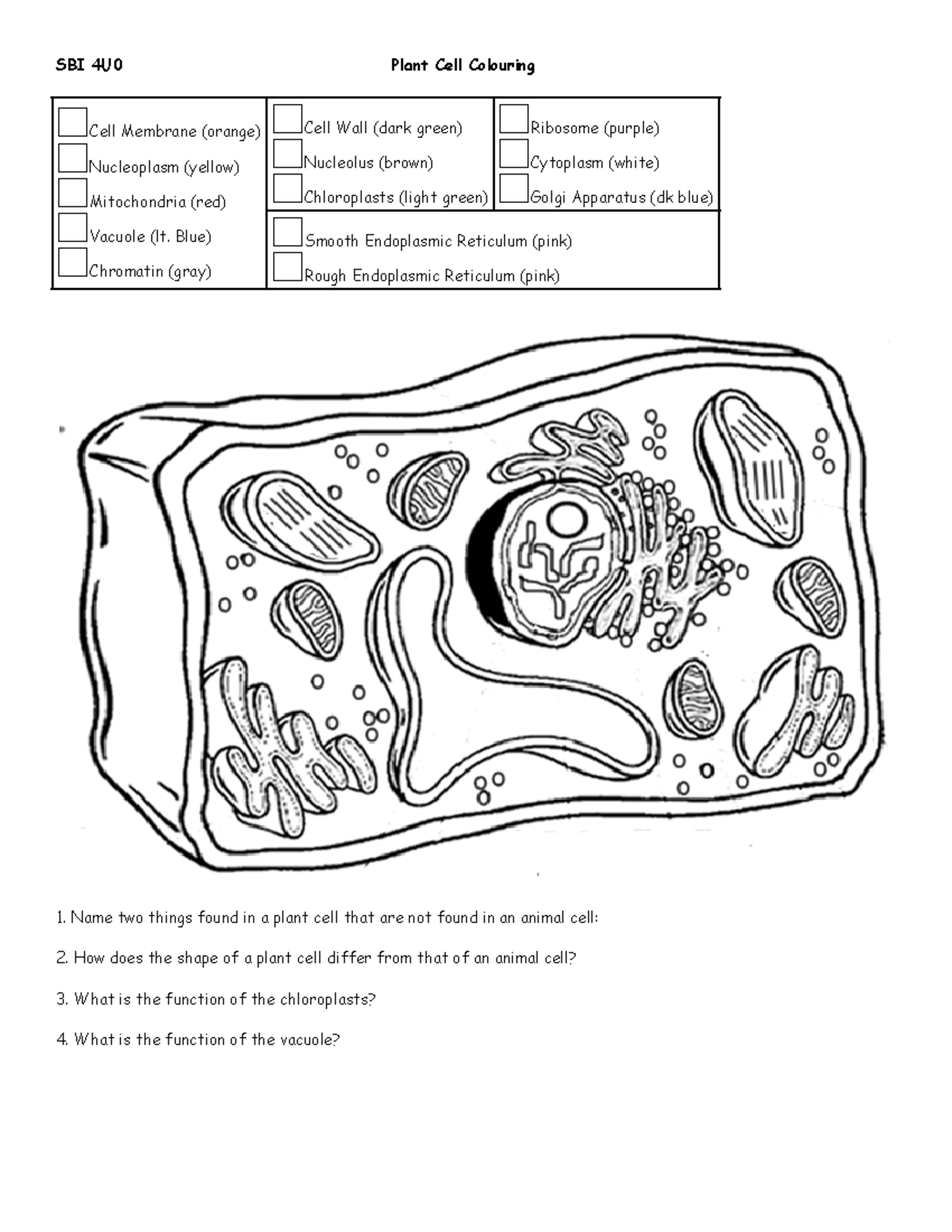 09b Plant Cell Colouring - SBI 4U0 Plant Cell Colouring Cell Membrane ...