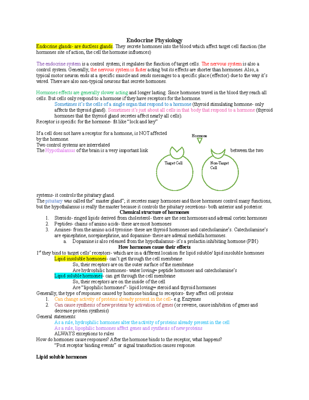 Endocrine Physiology - Endocrine Physiology Endocrine glands- are ...