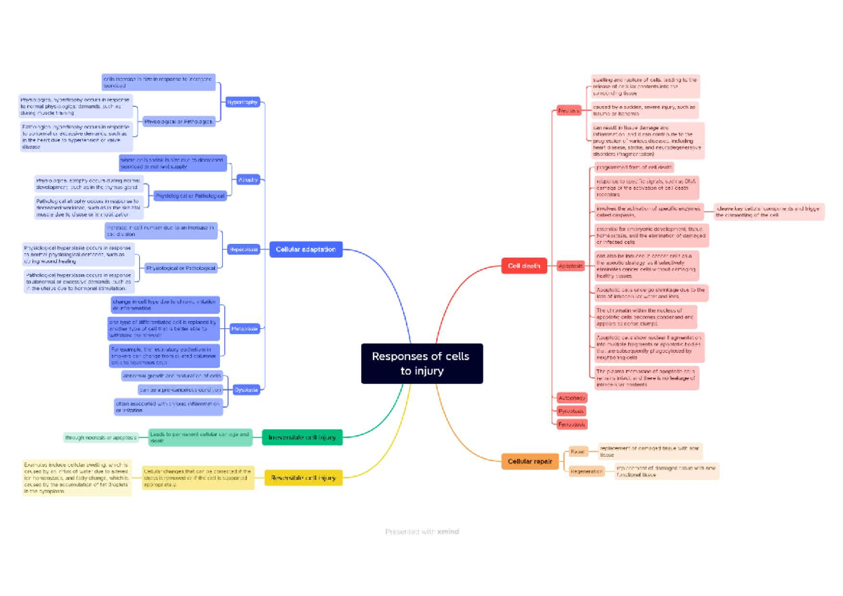 Responses of cells to injury - LS5009 - Studocu