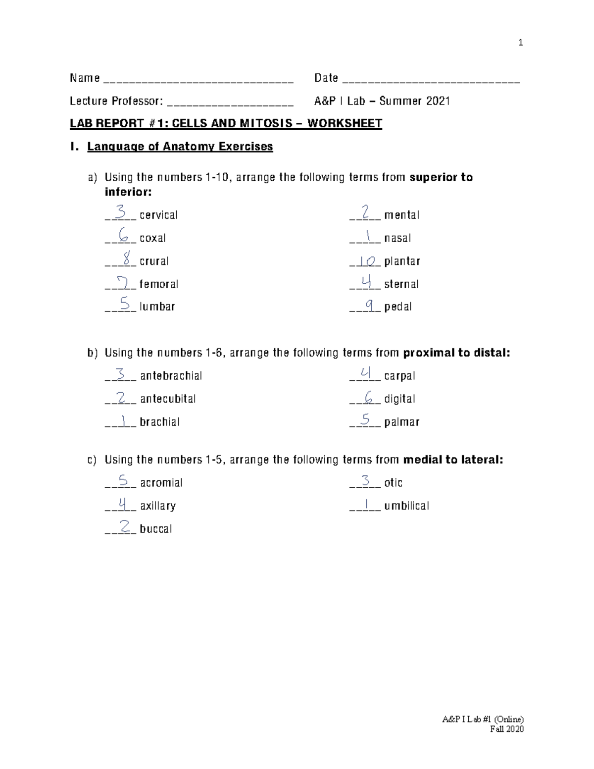 Lab 11 - my notes/homework for lab - 1 A&P I Lab #1 (Online)Fall 2020 ...