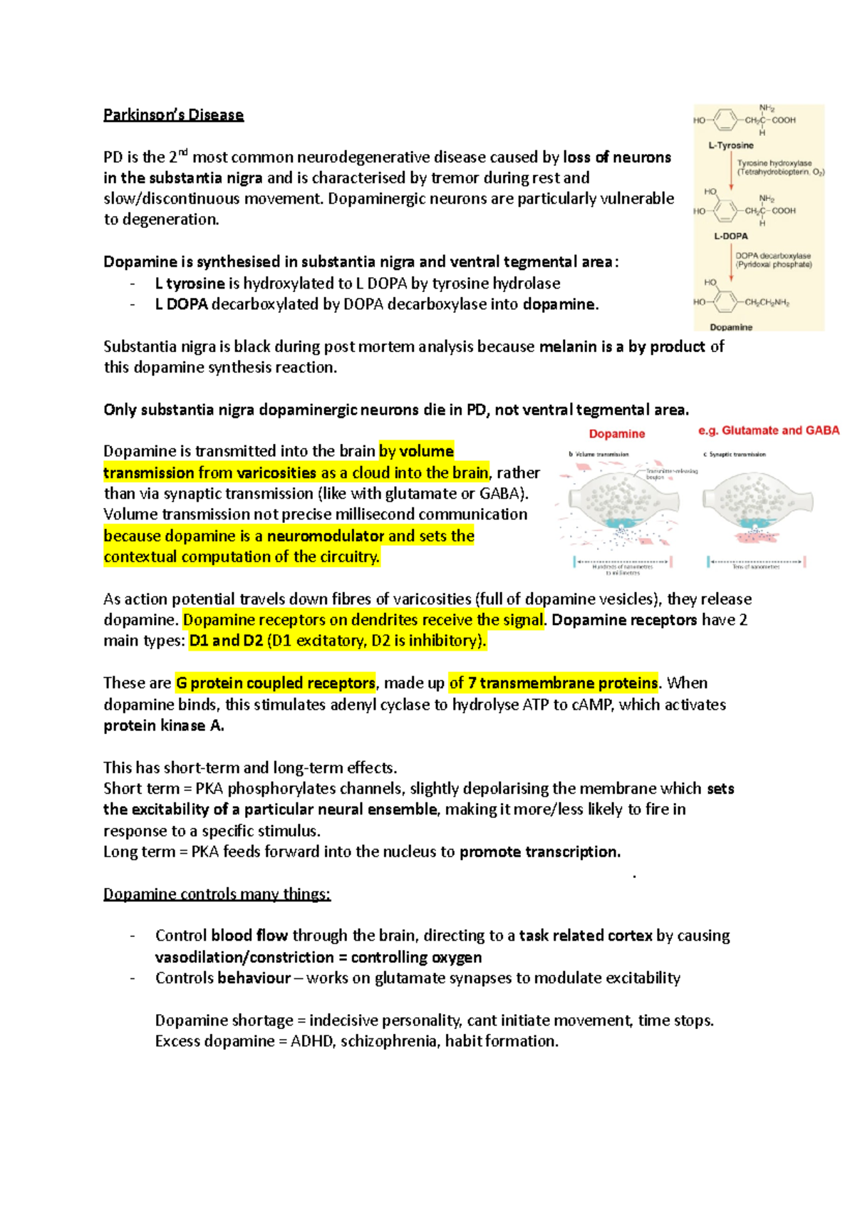 Parkinson's Disease - Bill Wisden Lecture - Parkinson’s Disease PD is ...