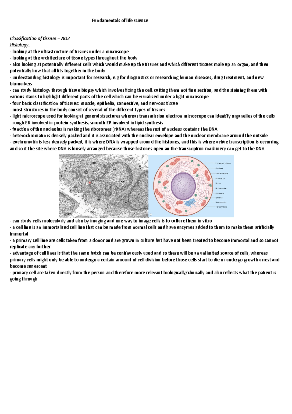 AO2 - Classification of tissues - Fundamentals of life science ...