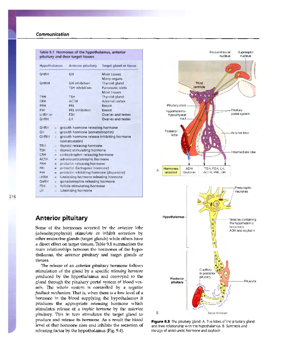 Human-Anatomy and Physiology 90 - Communication - Studocu