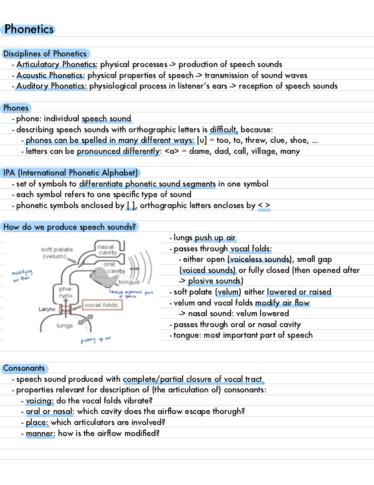 3- Phonetics 1 - WiSe - Phonetics Disciplines of Phonetics ...
