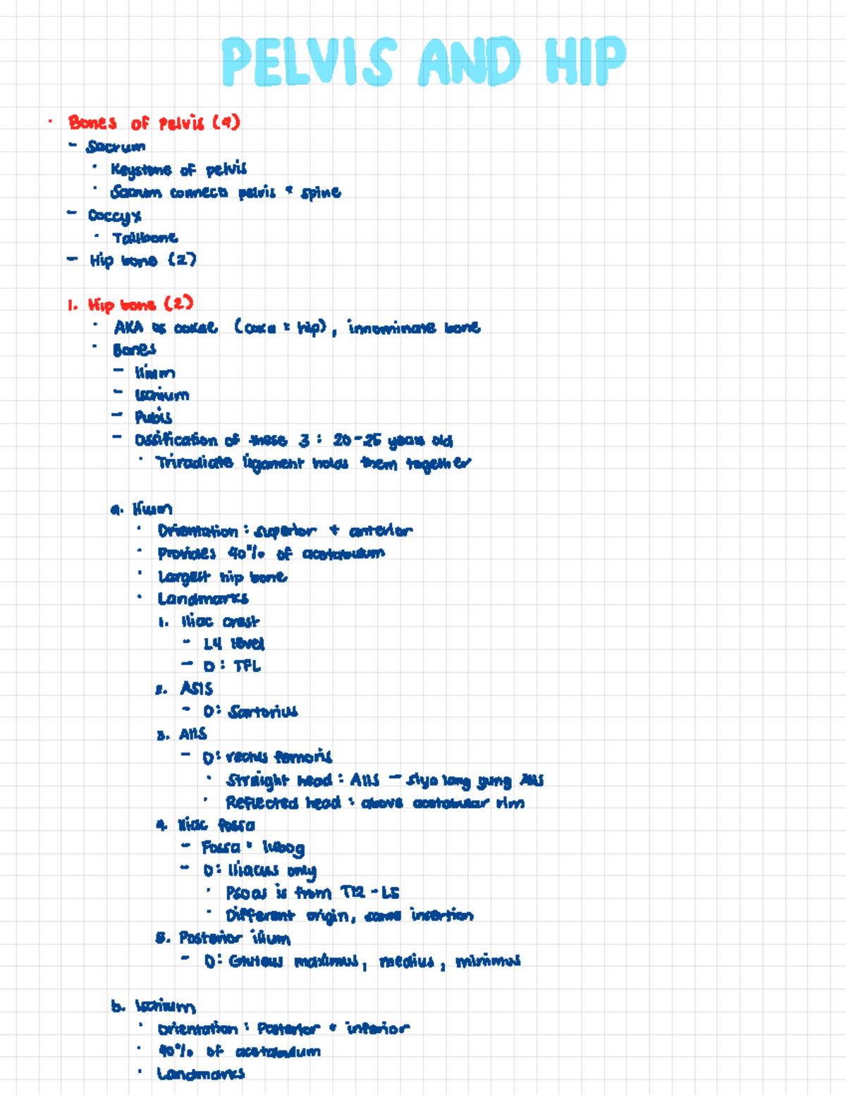 Lower Extremity Anatomy and Physiology - Bones of pelvis (4) sacrum ...