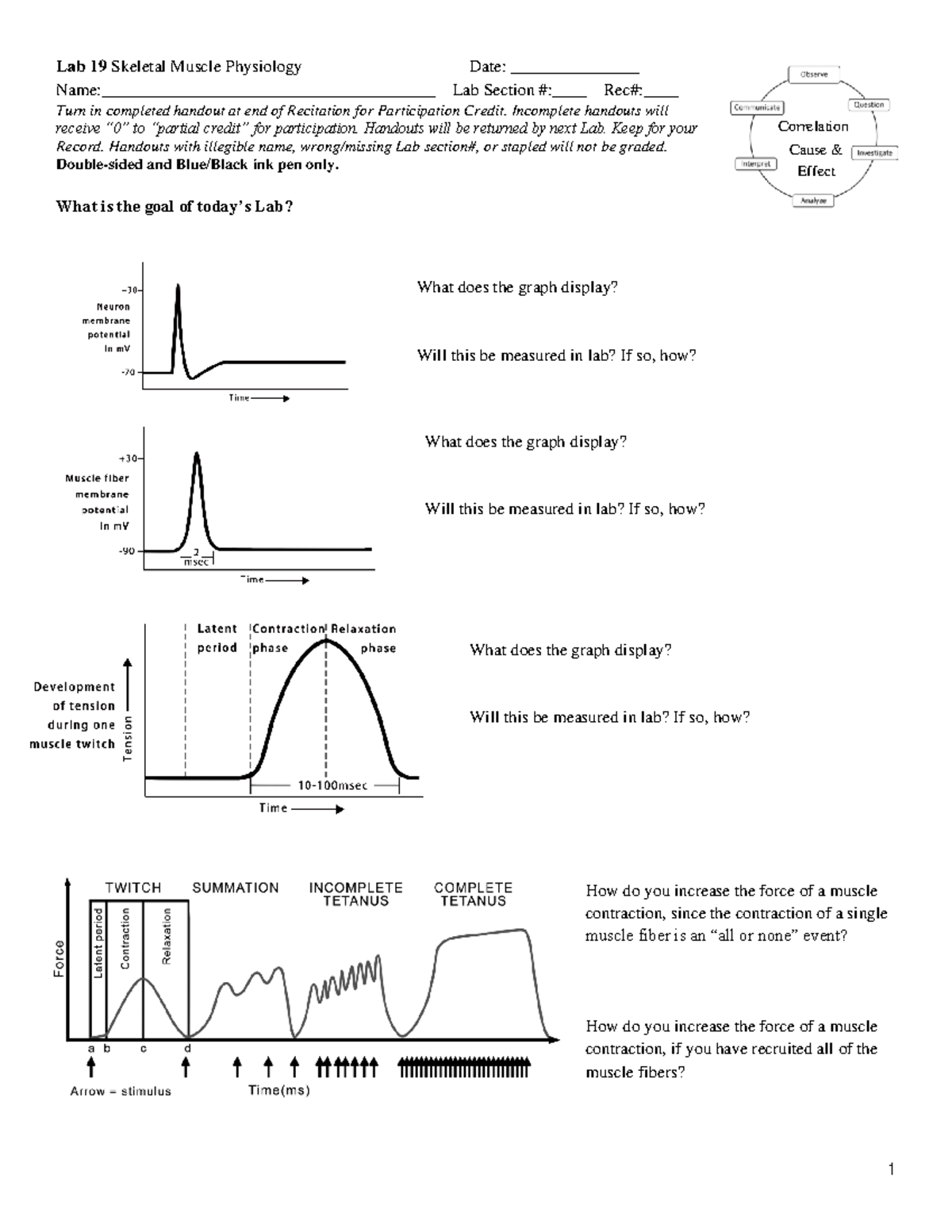 Lab19 Skeletal Muscle Rec handout s24 - 1 Lab 19 Skeletal Muscle ...