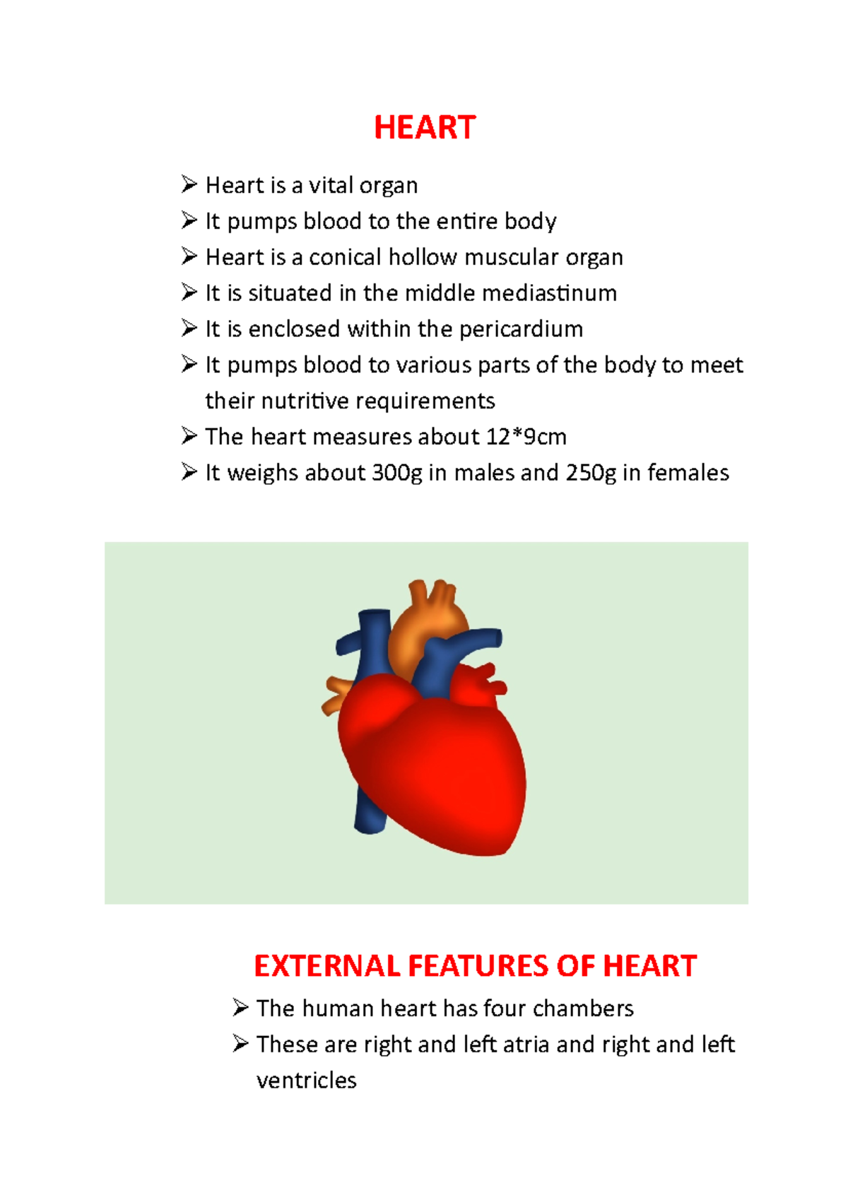 Heart Summary - Anatomy - HEART Heart is a vital organ It pumps blood ...