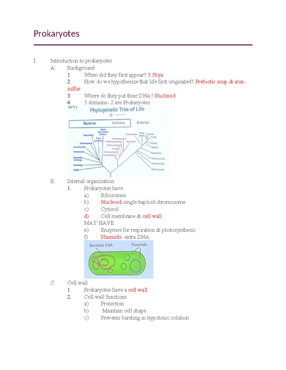 Prokaryotes - Introduction to prokaryotes A. Background 1. When did ...