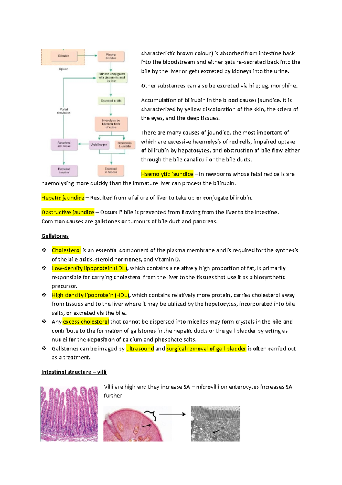 Ileum - GI tract - characteristic brown colour) is absorbed from ...