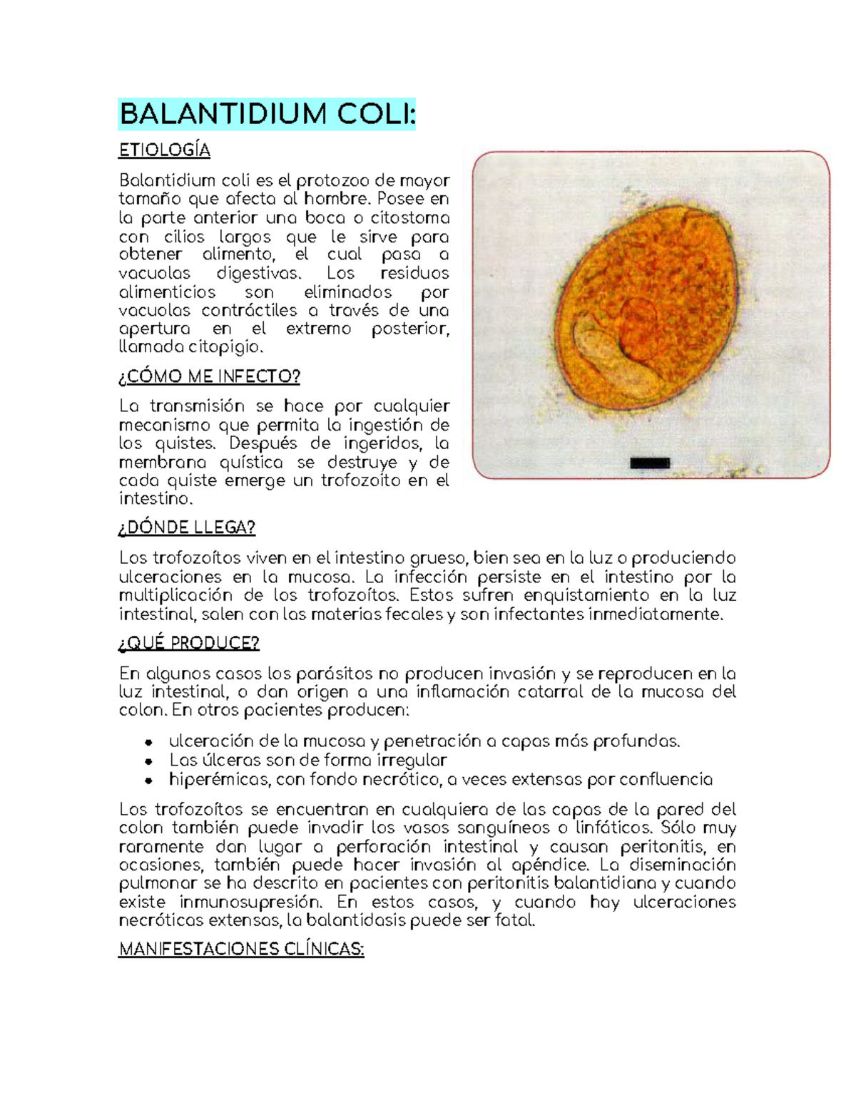 Balantidium Coli - Parasitosis - BALANTIDIUM COLI: ETIOLOGÍA ...