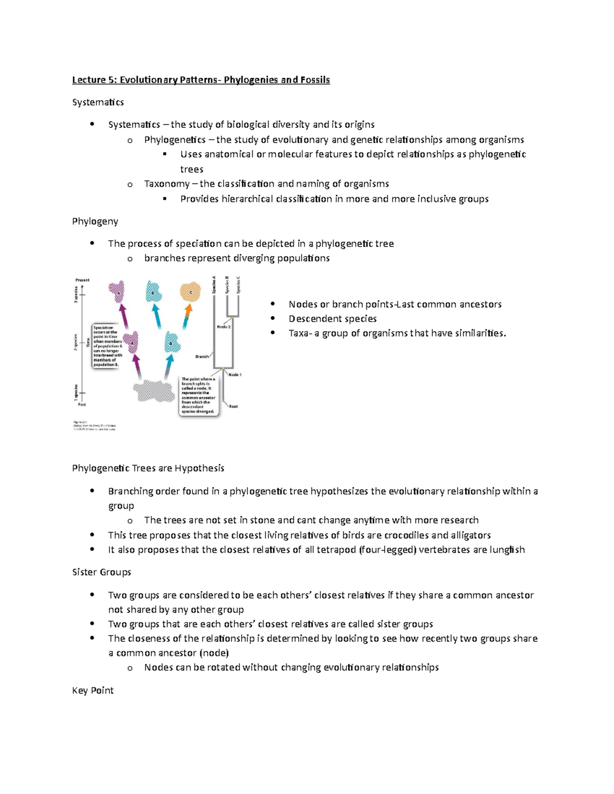 Evolutionery patterns phylogenies and fossils - Lecture 5: Evolutionary Patterns- Phylogenies ...
