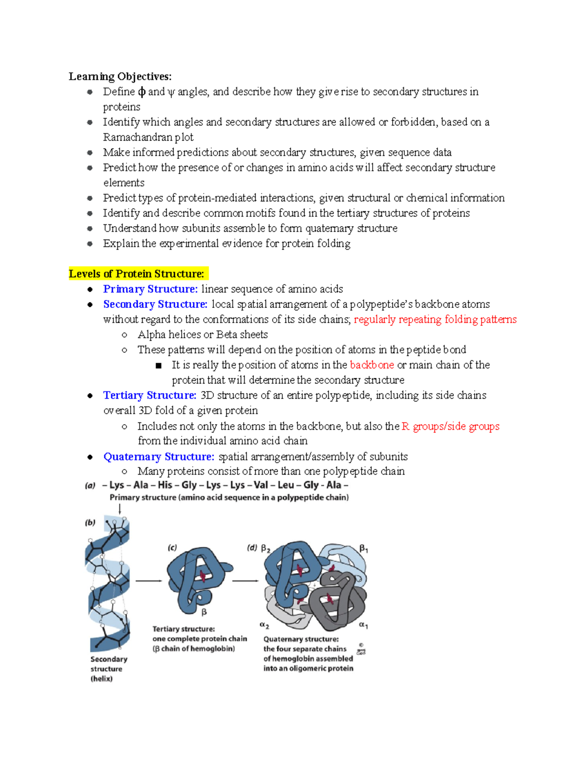 Module 2 Levels of Protein Structure - Learning Objectives: Define φand ...