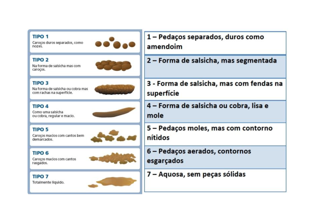 Escala de coco - resumo - Avaliação Do Estado Nutricional (EAD) - Studocu