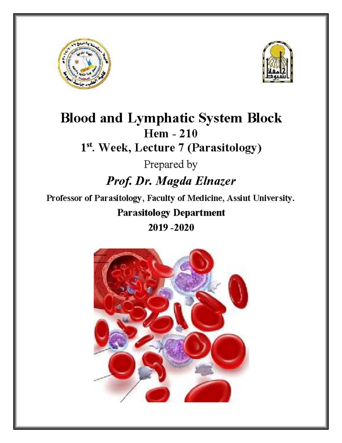 7 Blood and Lymphatic System Block, anatomy of lymph - Blood and ...