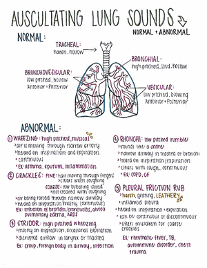 PAD versus PVD - pad vs pad - Peripheral vascular disease (PVD) is ...