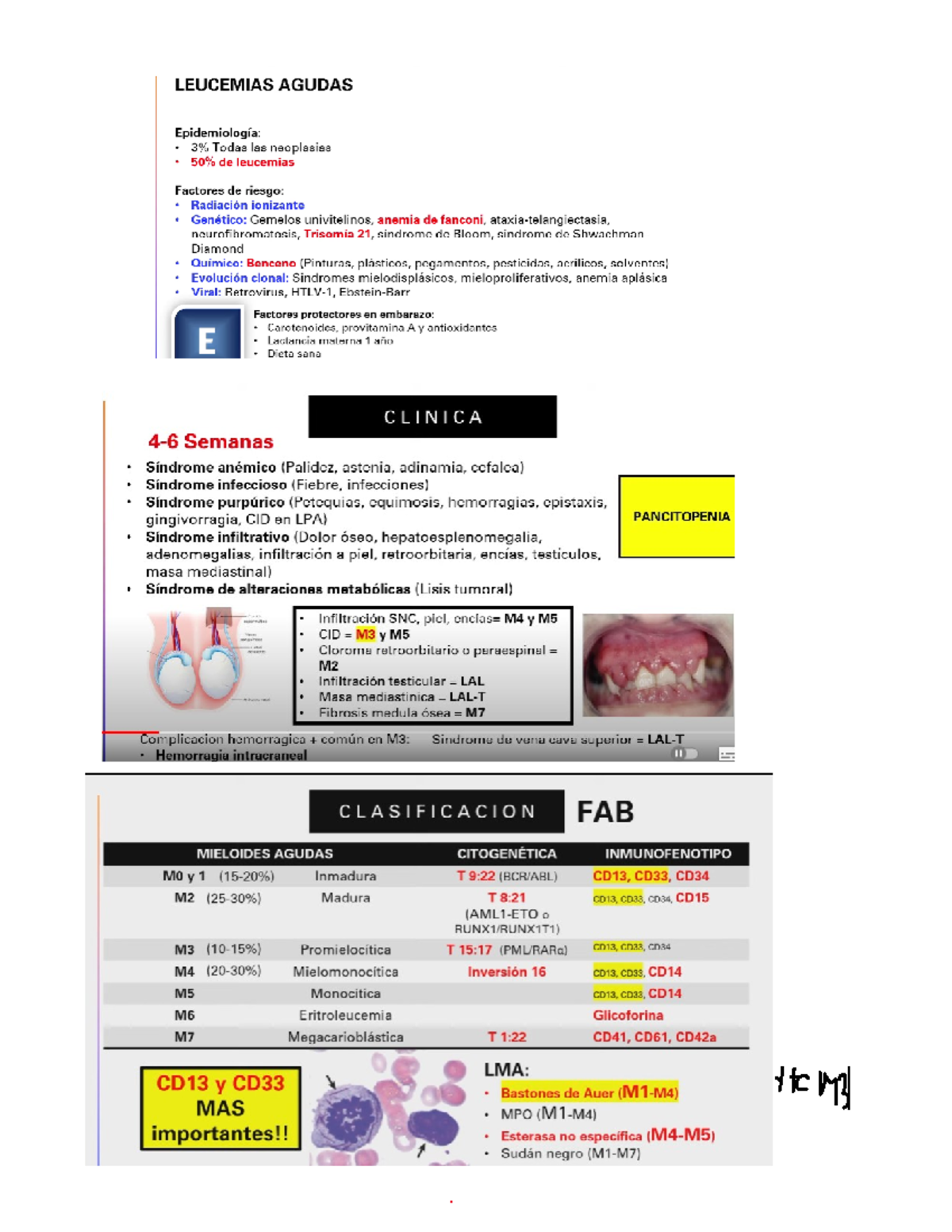 Leuce - meidicina - Medicina familiar - Studocu