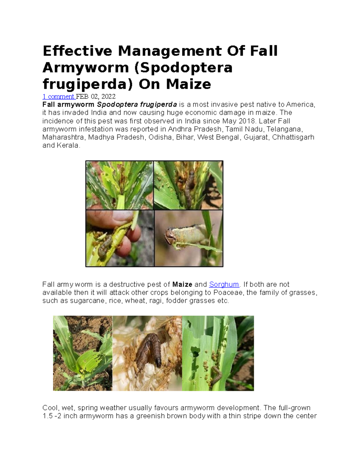 Effective Management Of Fall Armyworm - Horticulture - Studocu