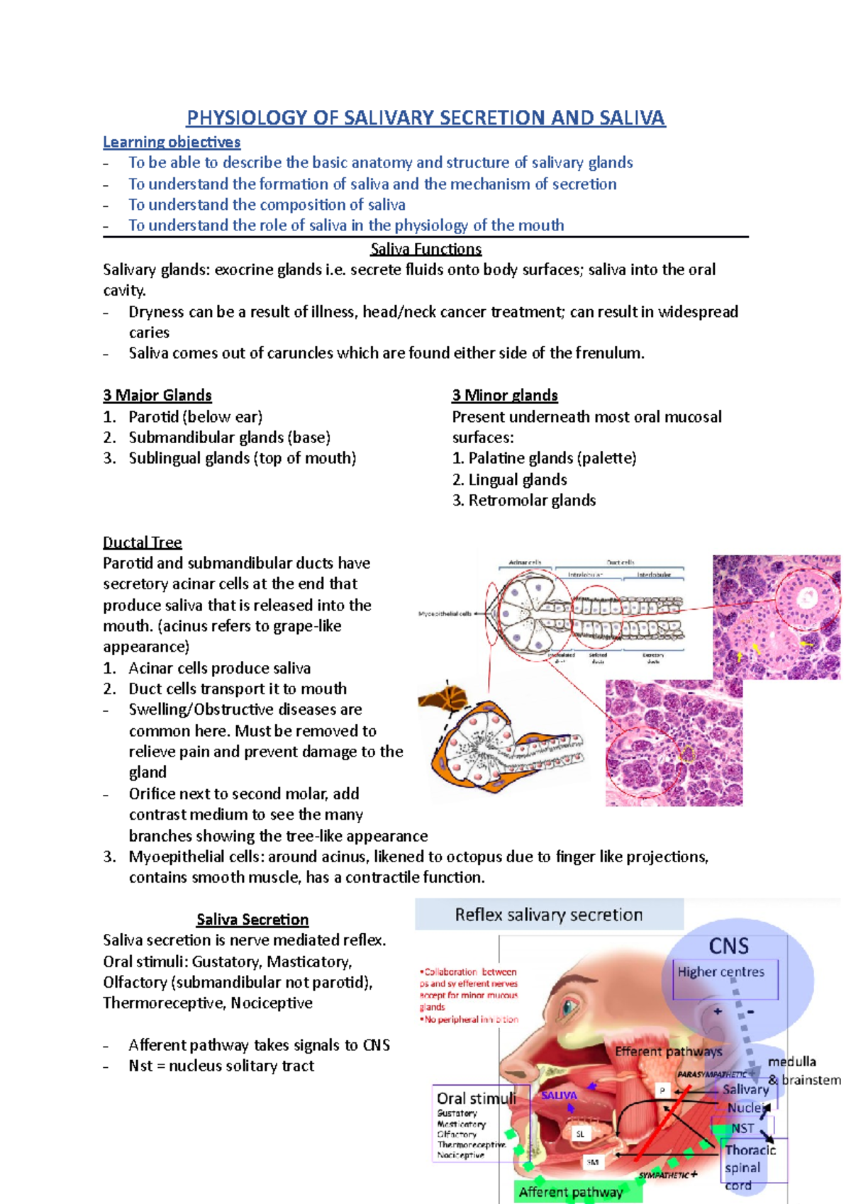 L1 Saliva - Lecture notes 2 - PHYSIOLOGY OF SALIVARY SECRETION AND ...