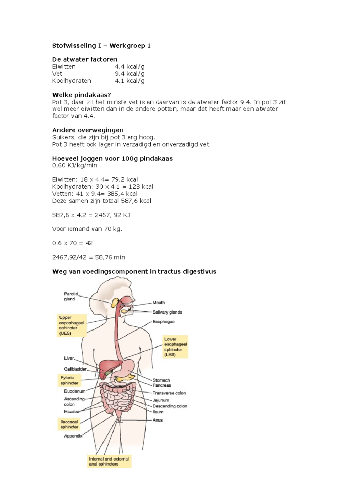 Stofwisseling I – WG1 - In pot 3 zit wel meer eiwitten dan in de andere ...