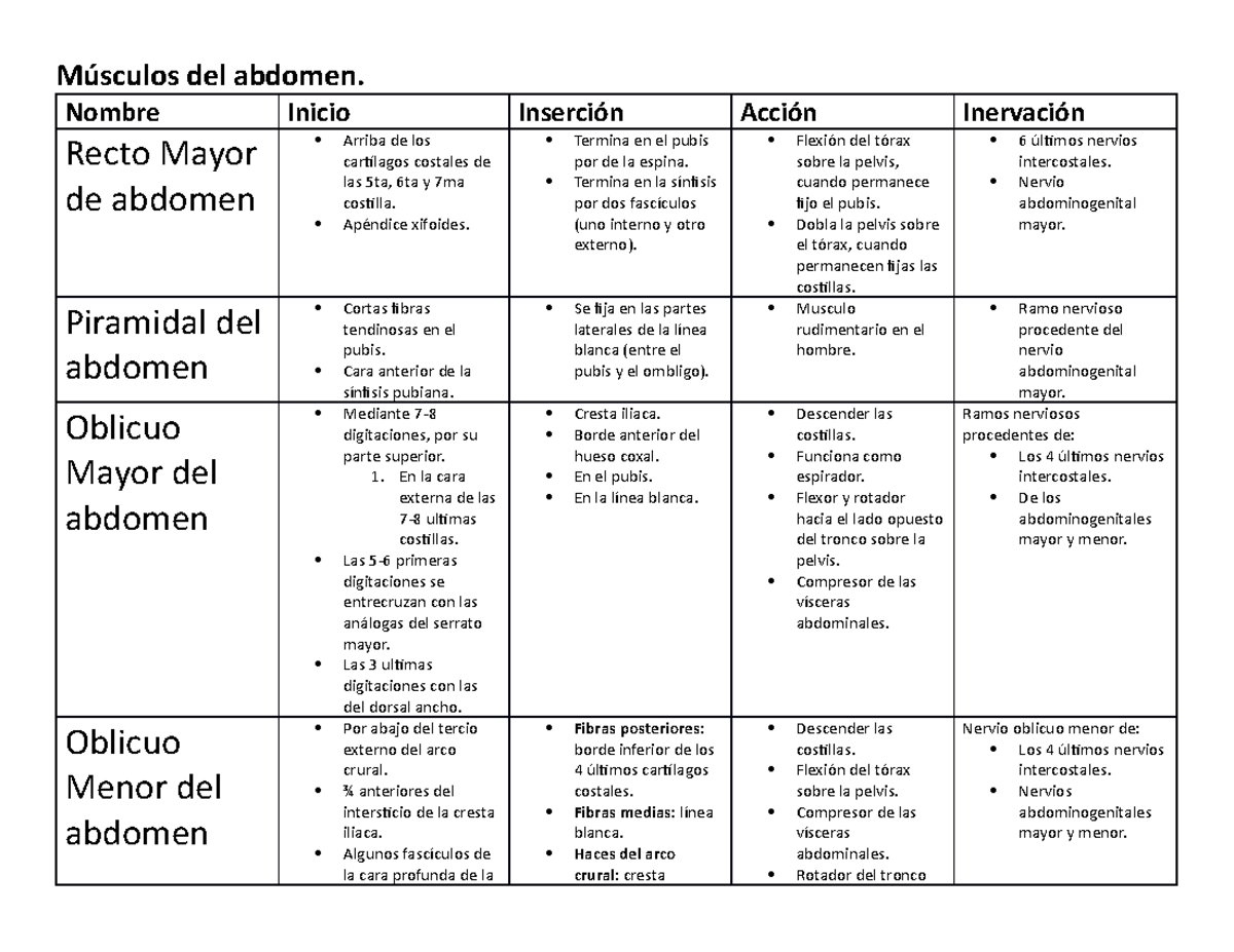 Musculos-del-abdomen - Músculos del abdomen. Nombre Inicio Recto Mayor ...