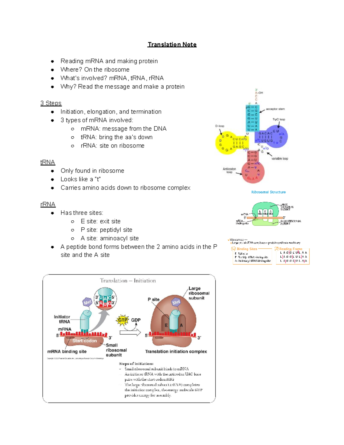 Translation Note - Translation Note Reading mRNA and making protein ...