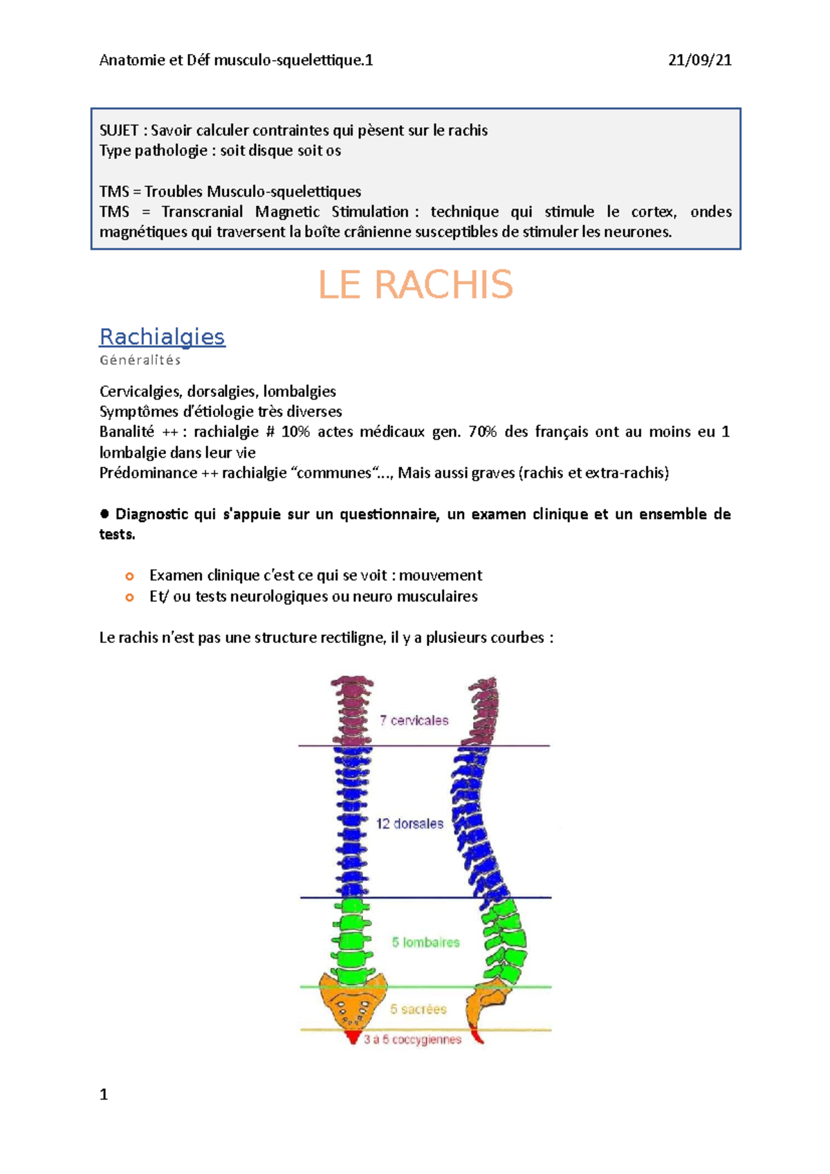 Le rachis - SUJET : Savoir calculer contraintes qui pèsent sur le ...